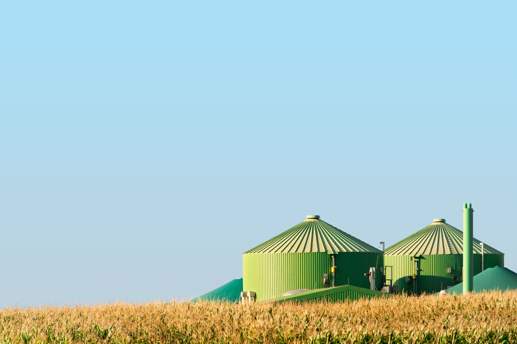 Bioenergy Potential in Caribbean: IRENA Report - REGlobal - Knowledge ...