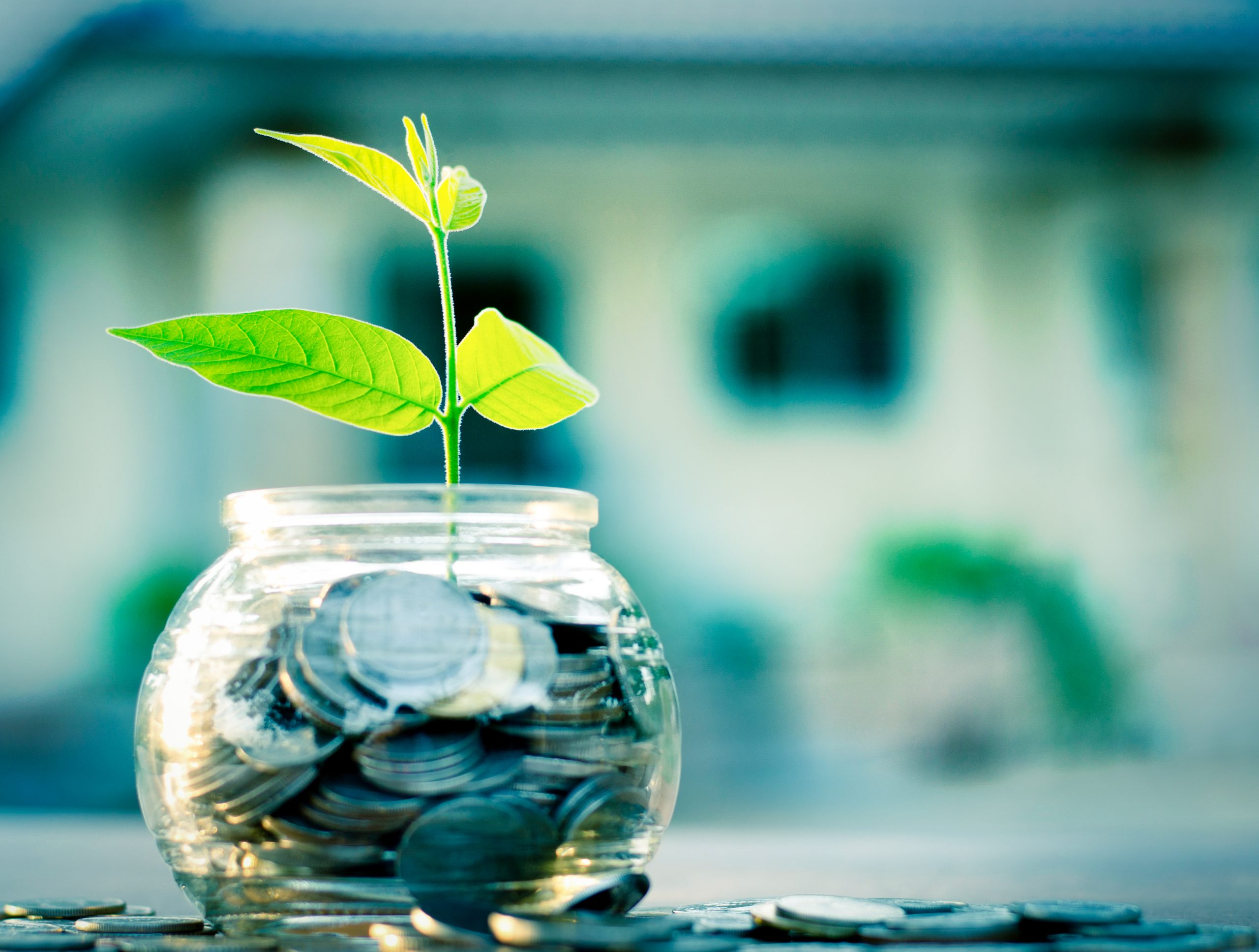 State of Green Banks 2025: Report - REGlobal - Knowledge Centre